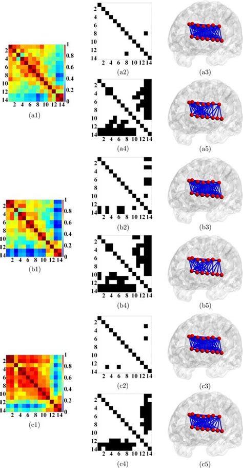 Correlation Coe±cients Binary Matrix And 3d Relative Networks Of Brain