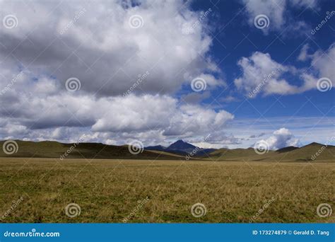 Grasslands Of Ecuador 838050 Stock Image Image Of White Paramo 173274879