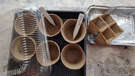 Alternative Seed Sowing Methods The Charlotte Gazette