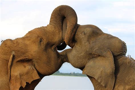 Setting Up Replication In Postgresql With Pglogical By Naveed Ahmed