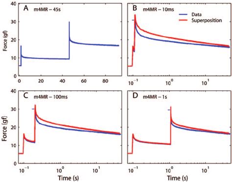 Testing The Superposition Hypothesis In Muscle At Long Lengths A A