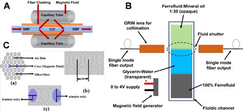 A A Novel Magnetic Sensor Employing A Thin−core Fiber Tcf Download Scientific Diagram