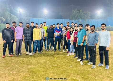 Magnusminds It Solution On Linkedin Companycricket
