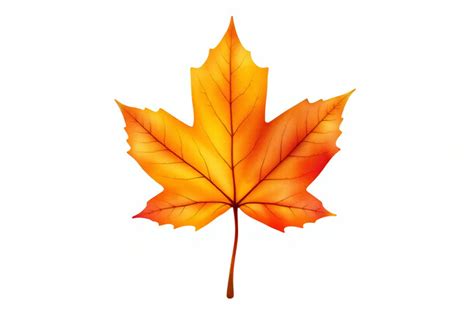 水彩风格人参插画ai图片下载 红动中国