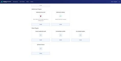 Adding Custom In Plugins In Kong Enterprise Edition Version 300
