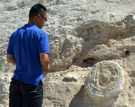 trace fossils of the san joaquin valley