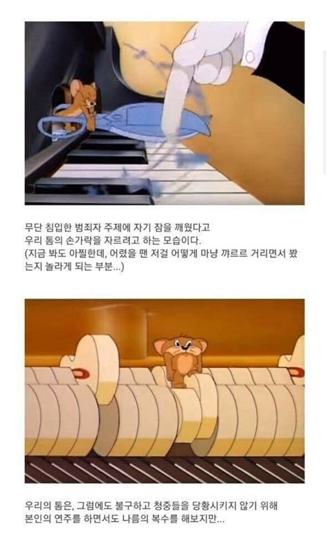 톰과 제리 감사합니다 짤의 불편한 진실 ㄷㄷ  유머 움짤 이슈 에펨코리아