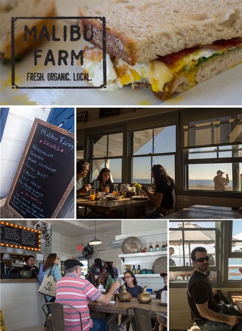 Making Waves Malibu Farm Restaurant The Carrie Source