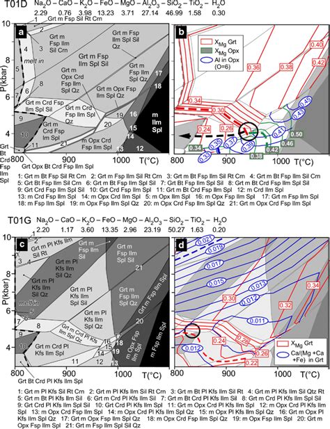 A Nckfmasth P T Pseudosection For Sample T01d Calculated Using The Download Scientific Diagram
