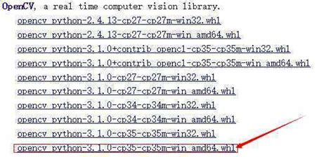 如何检查python是否安装了pip 如何查看python是否安装成功？ csdn博客