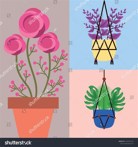 Houseplants Inside Pots Design Garden Ornament