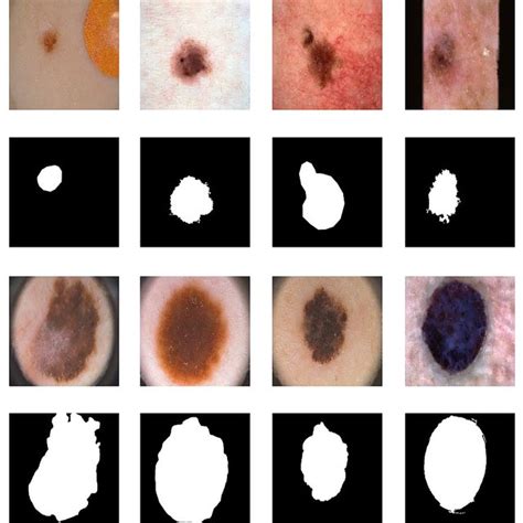 Examples Of The Segmentation Data Set Download Scientific Diagram