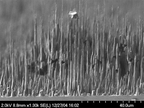 random data vertically aligned carbon nanofibers
