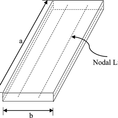Geometric Representation Of A Finite Strip Download Scientific Diagram
