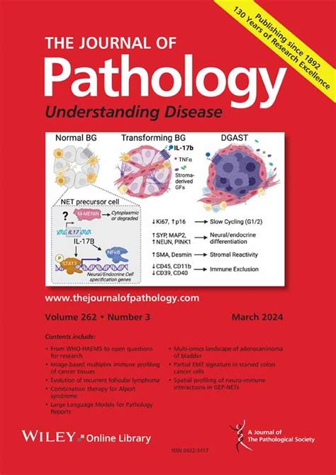 Spatial Profiling Reveals Tissue‐specific Neuro‐immune Interactions In