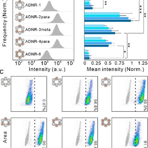Effect Of The Cholesterol Pattern On Cell Binding Efficiency A Download Scientific Diagram