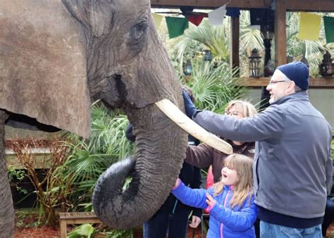 Myrtle Beach Safari A Once In Lifetime Hands On Wildlife Experience