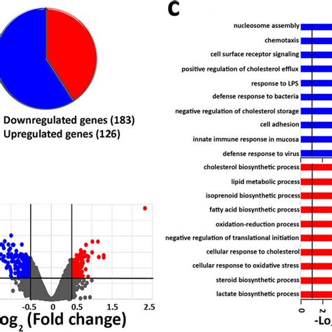 Hypercapnia Induces Transcriptional Changes In NHBE Cells Global Gene