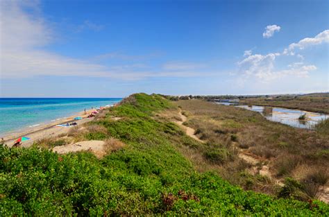 아플 리아 비치 이탈리아 지역 자연 공원 듄 코스 티에 르 토 레 깐 느에서 토 레 산 레오나르도까지 공원은 팔 킬로미터 해안선을 따라 오 스 투 니와 파 사노의 영토를