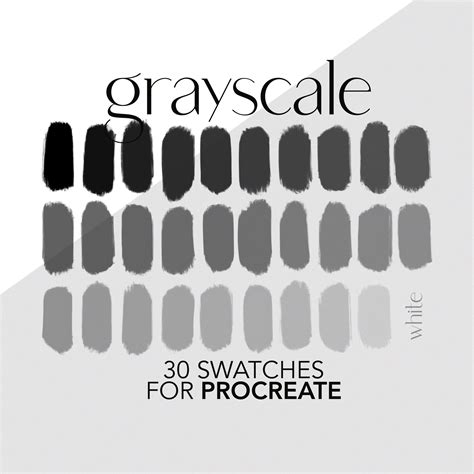 Basic Color Palettes For Procreate And Adobe Essential Swatch Bundle Tools For Digital