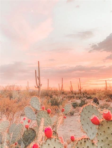 Pin By Heidi Alfonzo On Terra Incógnita Desert Aesthetic Western