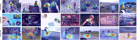 Visualization Of Affinity Attention Maps Learned By Gam Using