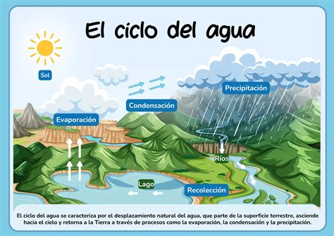 Evaporacion Ciclo Del Agua