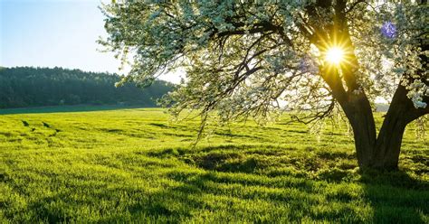 What Is A Regenerative Farm 7 Reasons To Start One