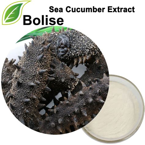 Sea Cucumber Extract Buypricesuppliermanufacturer From Bolise