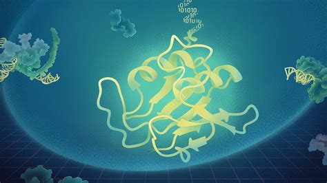 曹晓风研究组揭示植物光形态建成的表观遗传调控机制中国科学院遗传与发育生物学研究所