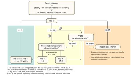 Metabolic Dysfunction Associated Steatotic Liver Disease Diagnosis And Management