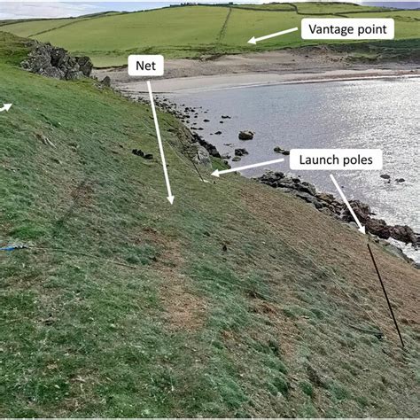 Diagram Of The Whoosh Net Setup To Catch European Shags At A Daytime Download Scientific
