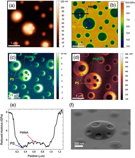 A Afm Topography B Reduced Modulus C Deformation And D Download Scientific Diagram