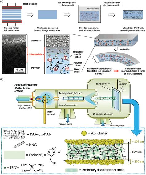 Metal Electrode Based Ecas Ipmcs A Preparation Procedure Of Ipmc