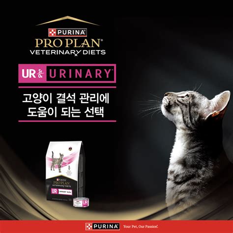 퓨리나 고양이 처방사료ur 결석관리 2kg