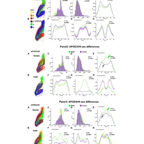 Intrahemispheric Connections Between The Hippocampus And Piriform