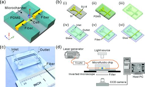 The Microfluidic Chip With Two Counter Propagating Optical Fibers And