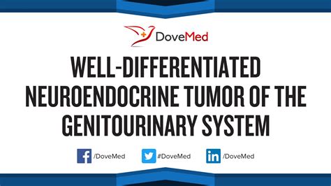 Well Differentiated Neuroendocrine Tumor Of The Genitourinary System