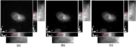A 3d Model Of Original Image Stack And The Reconstructed 3d Models Download Scientific