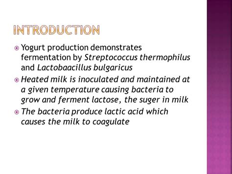 Lactic Acid Fermentation Yogurt