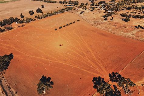 Drought Relief The Dos And Donts Of Helping Australian Farmers And