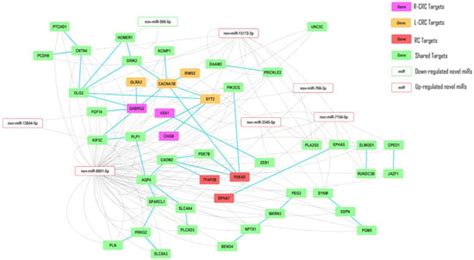 Non Coding Rna An Open Access Journal From Mdpi