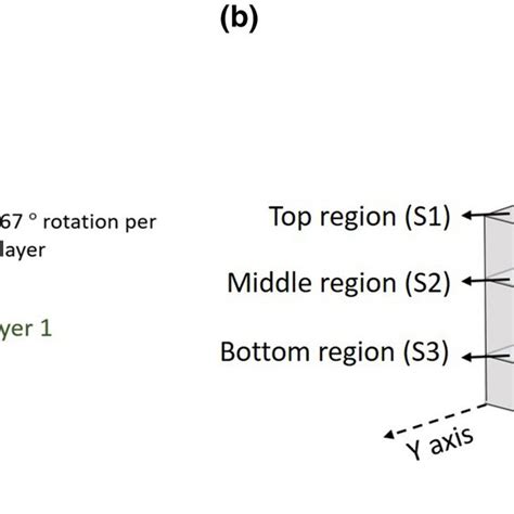 Schematic Representation Of A Bidirectional Laser Scanning Strategy Download Scientific Diagram