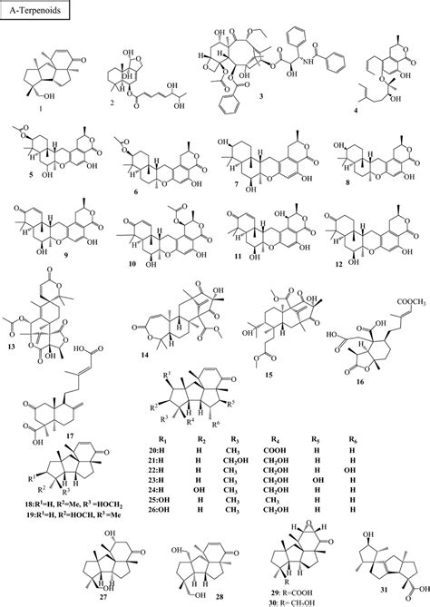 Structures Of Identified Metabolites In P Chrysogenum Download