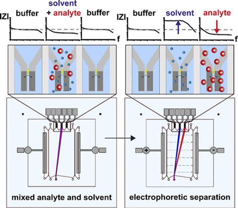 Integration Of Impedimetric Sensors For In Situ Electrochemical Impedance Spectroscopy In Free