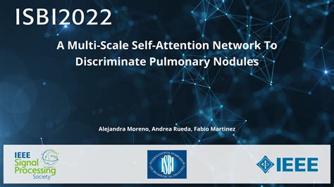 A Multi Scale Self Attention Network To Discriminate Pulmonary Nodules Ieee Resource Center