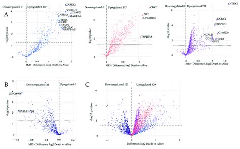 volcano plots of differential gene expression identify gene transcripts