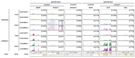 Chapter Basic Visualization BioSeqUtils Reference