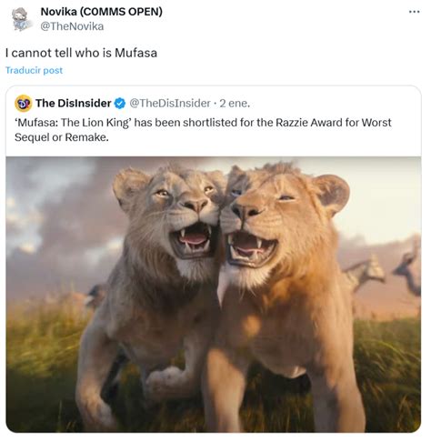 Lion King Bridgeport Memes