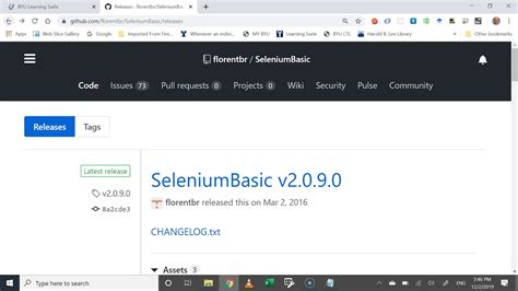 Contoling Chrome From Vba With Selenium Youtube